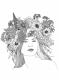 Flower Head coloring pages for Adults