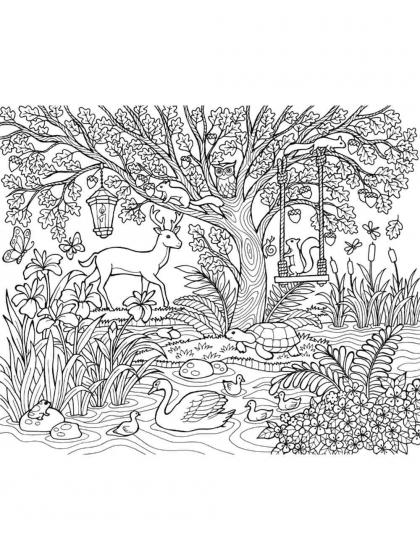 Forest coloring pages for Adults