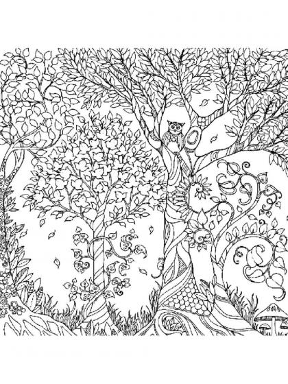 Forest coloring pages for Adults
