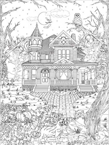 House coloring pages for Adults