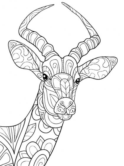 Antelope coloring pages for Adults