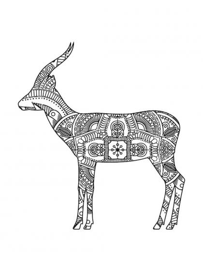 Antelope coloring pages for Adults