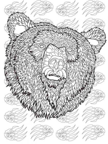 Bears coloring pages for Adults | Free Download and Print