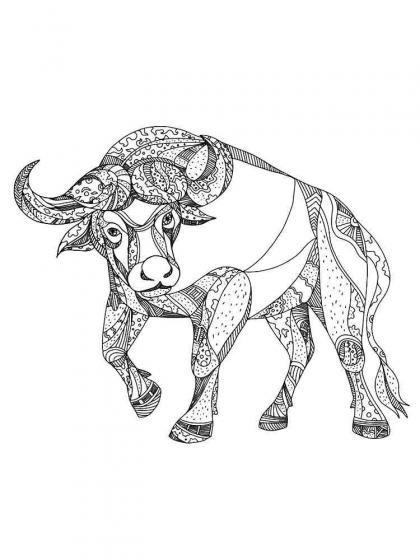 Bull coloring pages for Adults