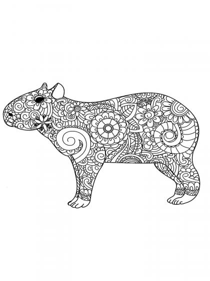 Capybara coloring pages for Adults