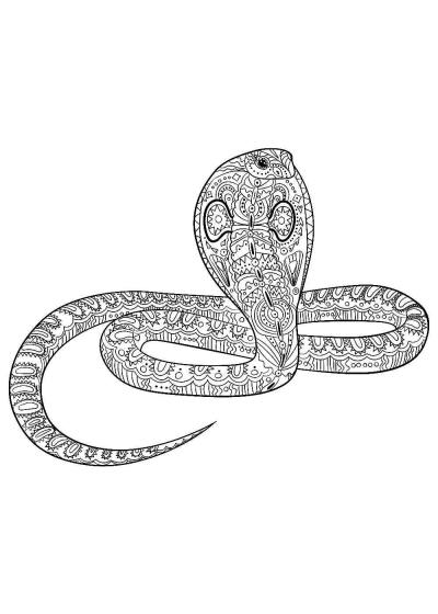 Cobra coloring pages for Adults