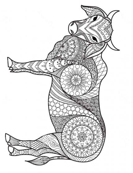 Cow coloring pages for Adults