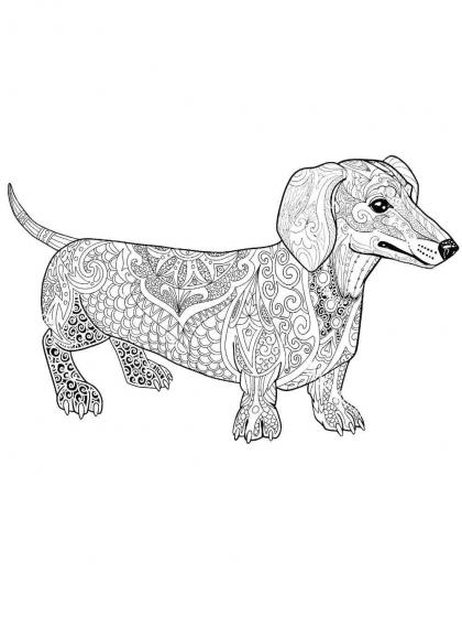 Dachshund coloring pages for Adults