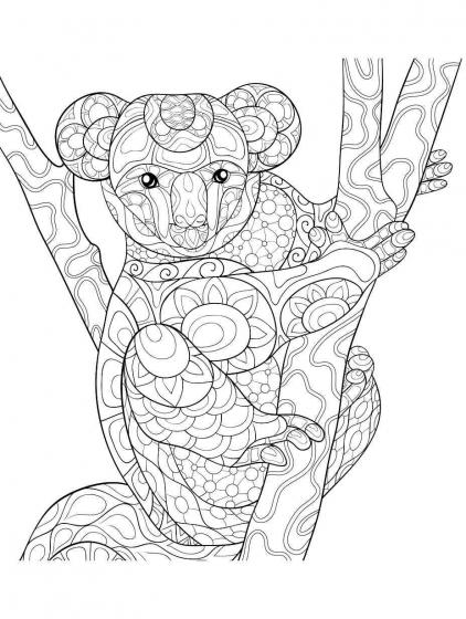 Koala coloring pages for Adults