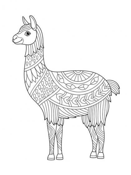 Llama coloring pages for Adults