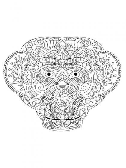 Monkey coloring pages for Adults