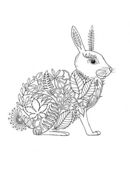 Rabbit coloring pages for Adults