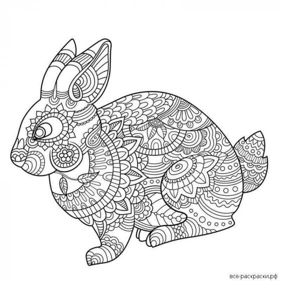 Rabbit coloring pages for Adults