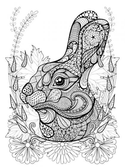 Rabbit coloring pages for Adults