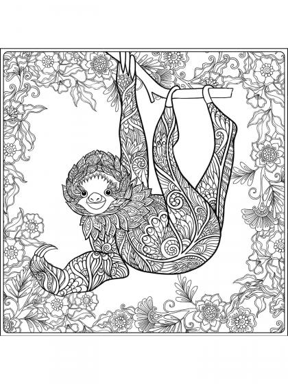 Sloth coloring pages for Adults