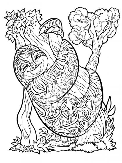 Sloth coloring pages for Adults