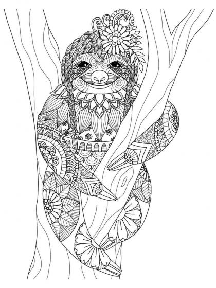 Sloth coloring pages for Adults