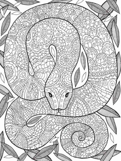 Snakes coloring pages for Adults