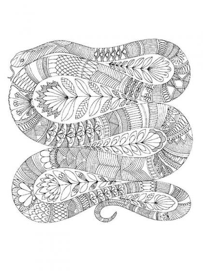 Snakes coloring pages for Adults