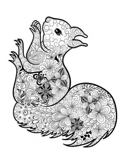 Squirrel coloring pages for Adults