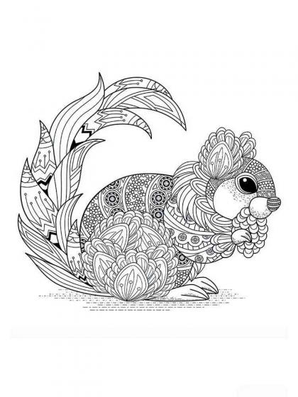 Squirrel coloring pages for Adults
