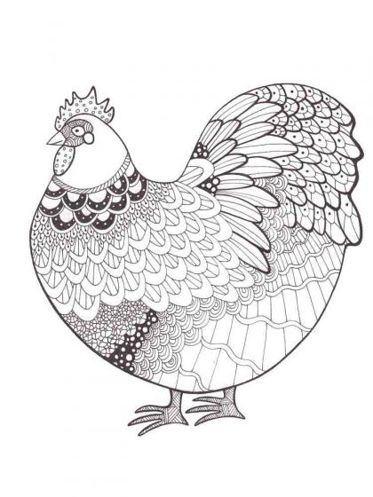 Chicken coloring pages for Adults