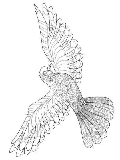 Dove coloring pages for Adults