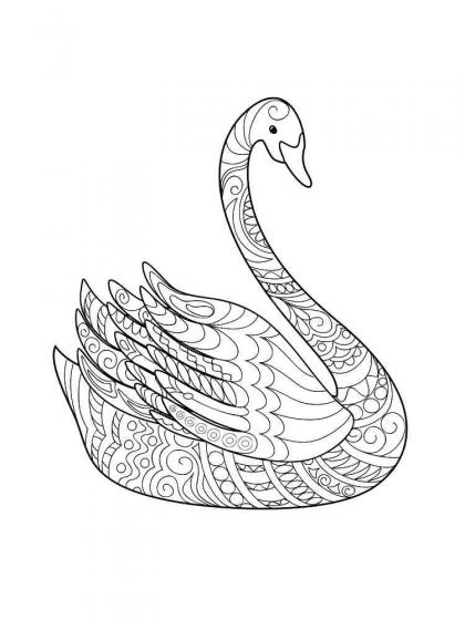 Swan coloring pages for Adults