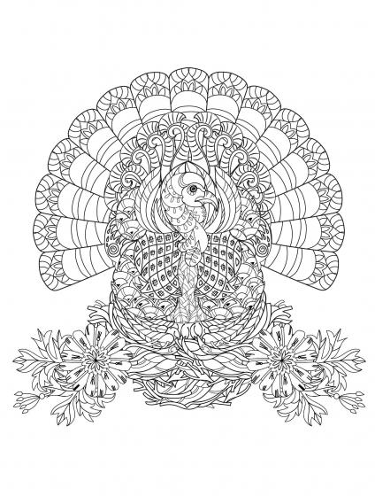 Turkey coloring pages for Adults