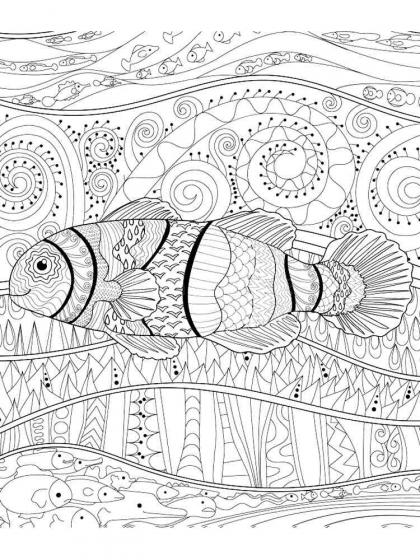 Different fish coloring pages for Adults