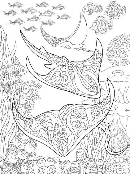 Ray coloring pages for Adults