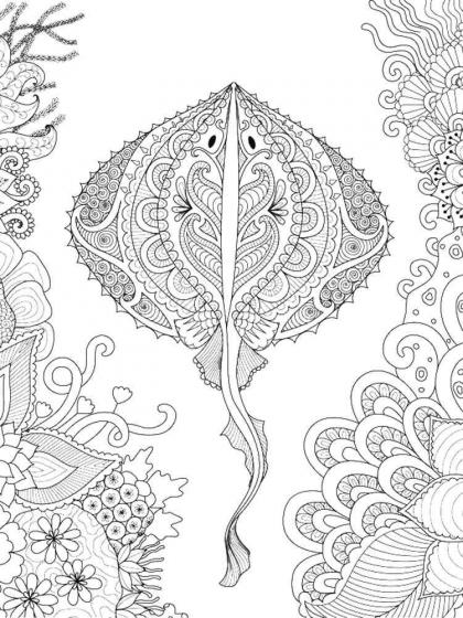Ray coloring pages for Adults