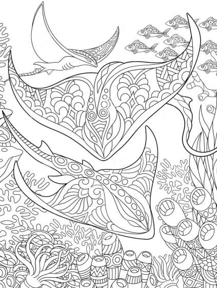 Ray coloring pages for Adults