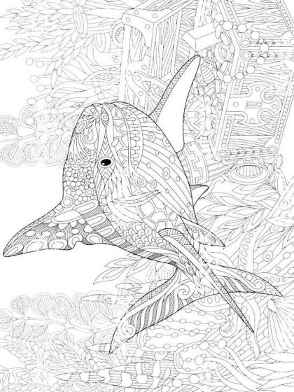 Shark coloring pages for Adults
