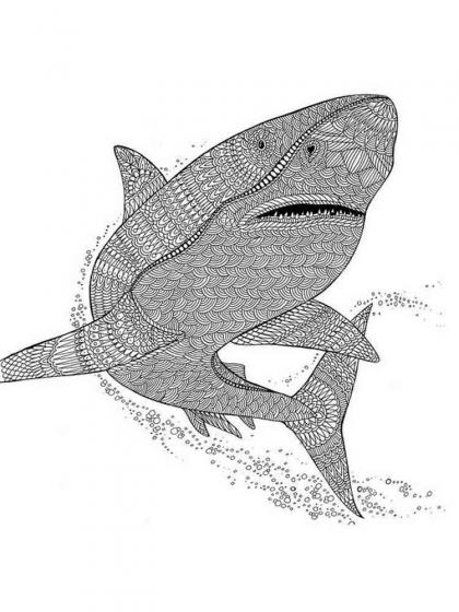 Shark coloring pages for Adults