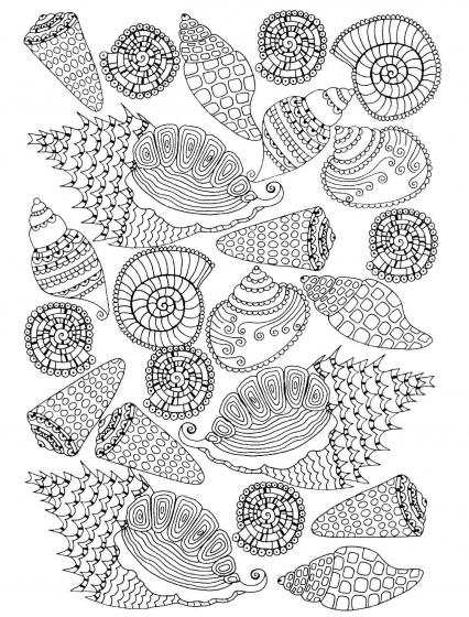Shell coloring pages for Adults