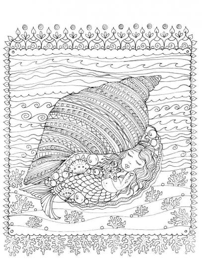 Shell coloring pages for Adults