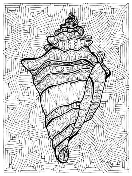 Shell coloring pages for Adults