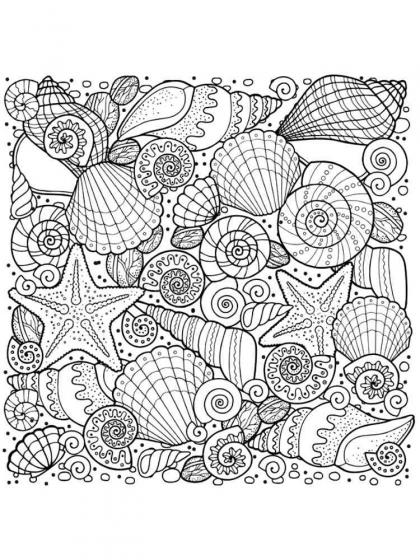 Shell coloring pages for Adults