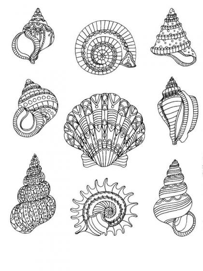 Shell coloring pages for Adults