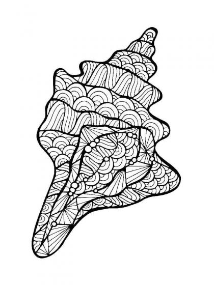 Shell coloring pages for Adults