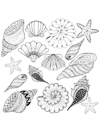 Shell coloring pages for Adults