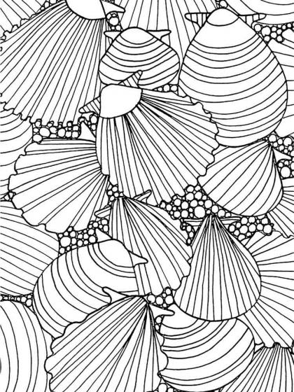 Shell coloring pages for Adults