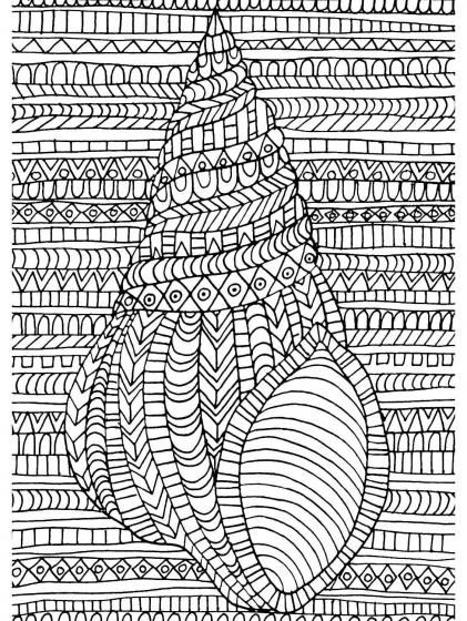 Shell coloring pages for Adults
