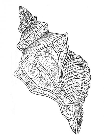 Shell coloring pages for Adults