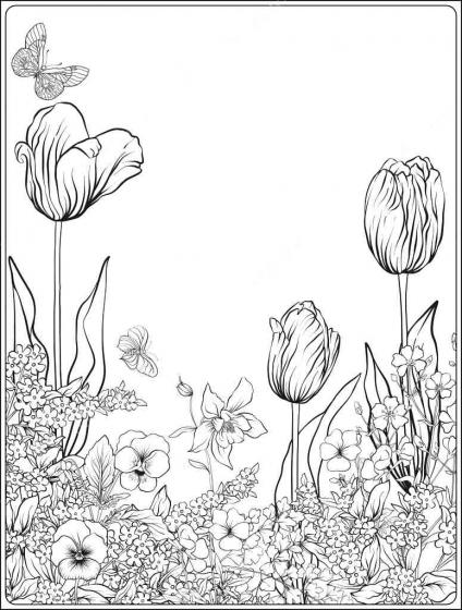 Tulips coloring pages for Adults