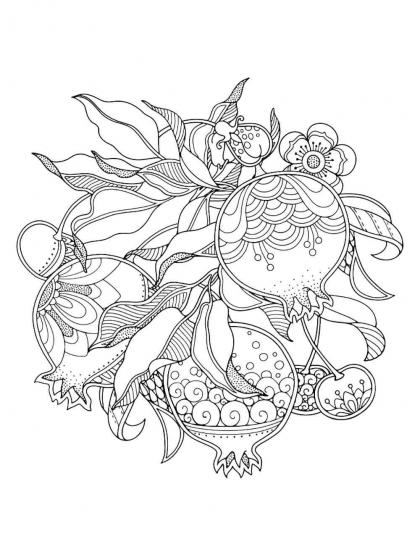 Pomegranate coloring pages for Adults