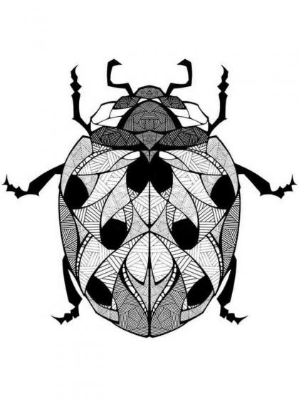 Ladybug coloring pages for Adults