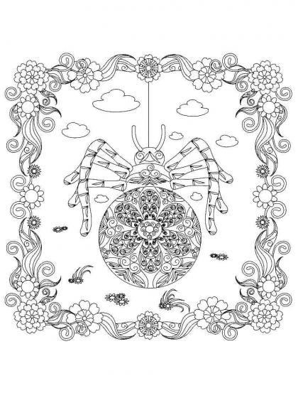 Spider coloring pages for Adults