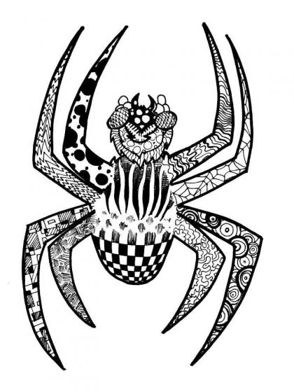 Spider coloring pages for Adults